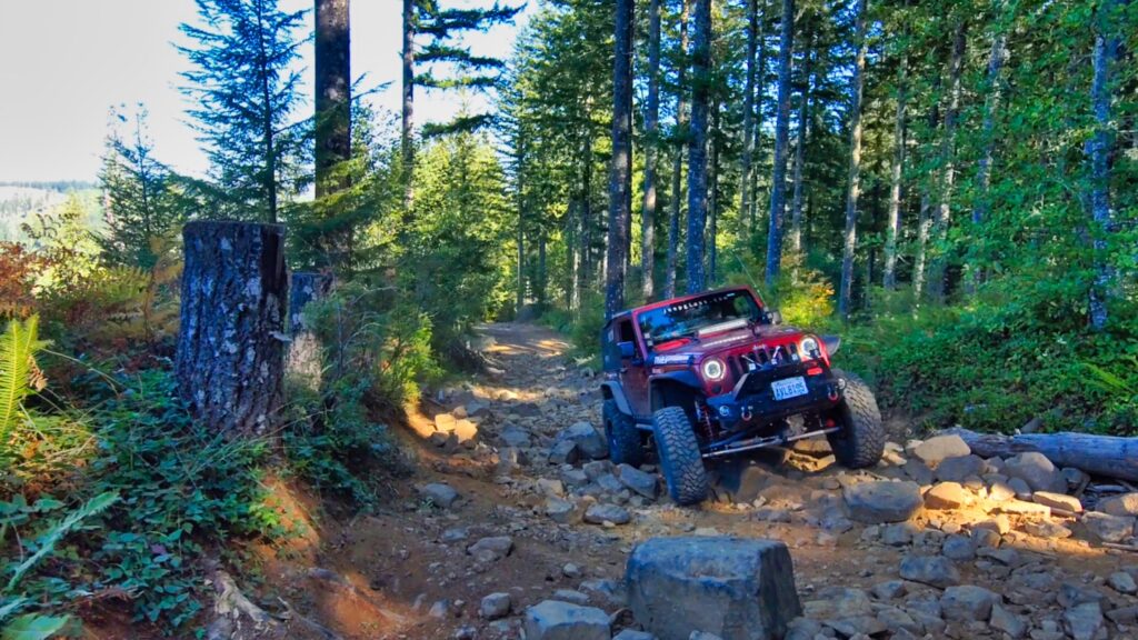 Tillamook State Forest OHV – Schwarttzy.com